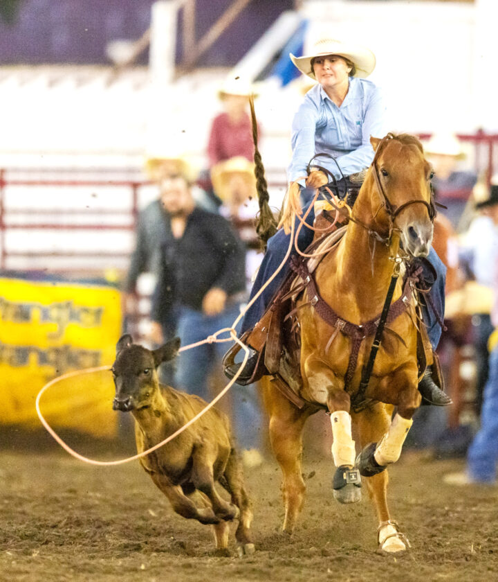 Saddle bronc riding steals the show on day 3 of Gerry Rodeo | News ...